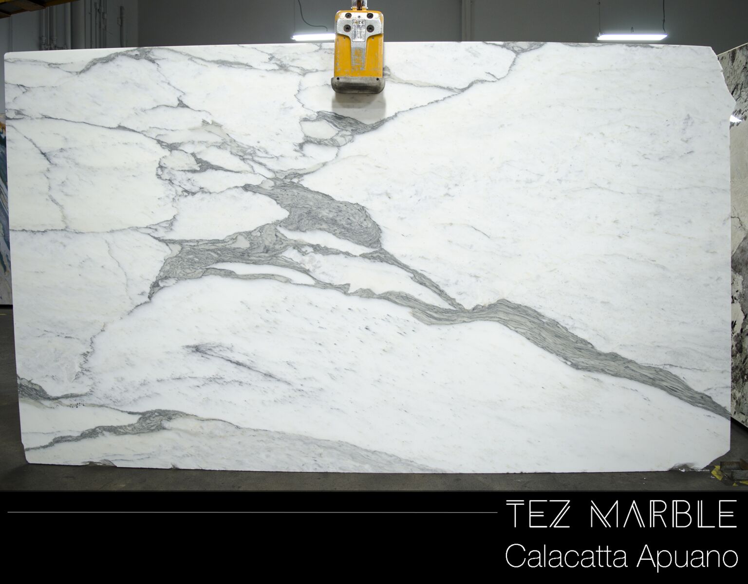 Calacatta Apuano | Tez Marble
