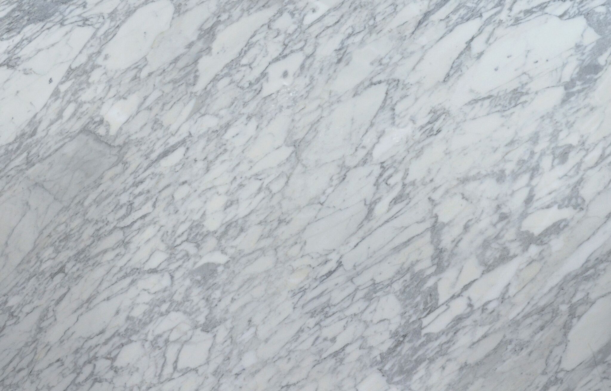 Calacatta Venezia Classic | Tez Marble