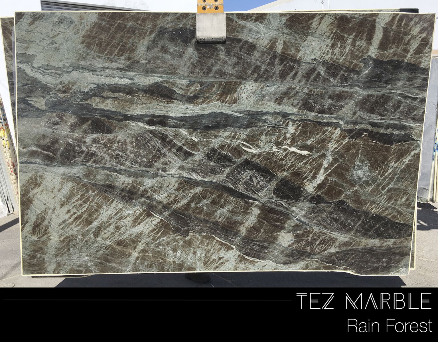 Rain Forest | Tez Marble
