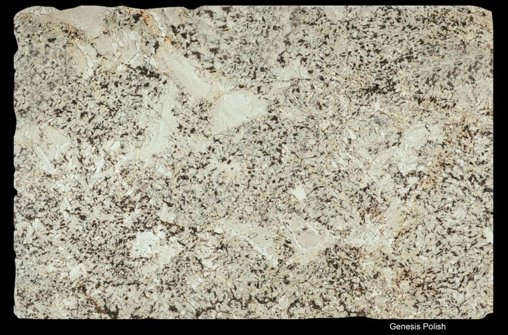 Genesis | Tez Marble