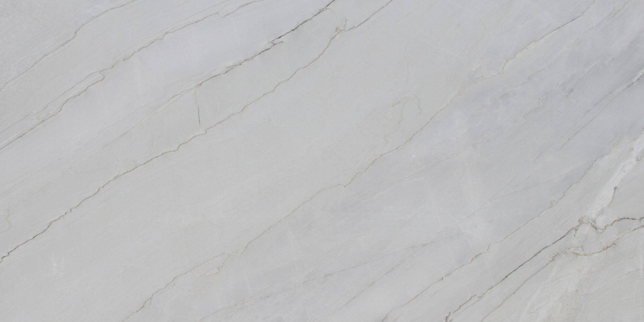 New Arrivals | Tez Marble