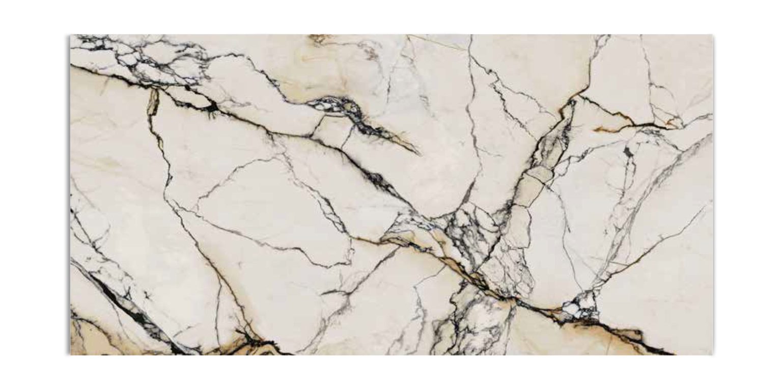 Paonazzetto Polished | Tez Marble