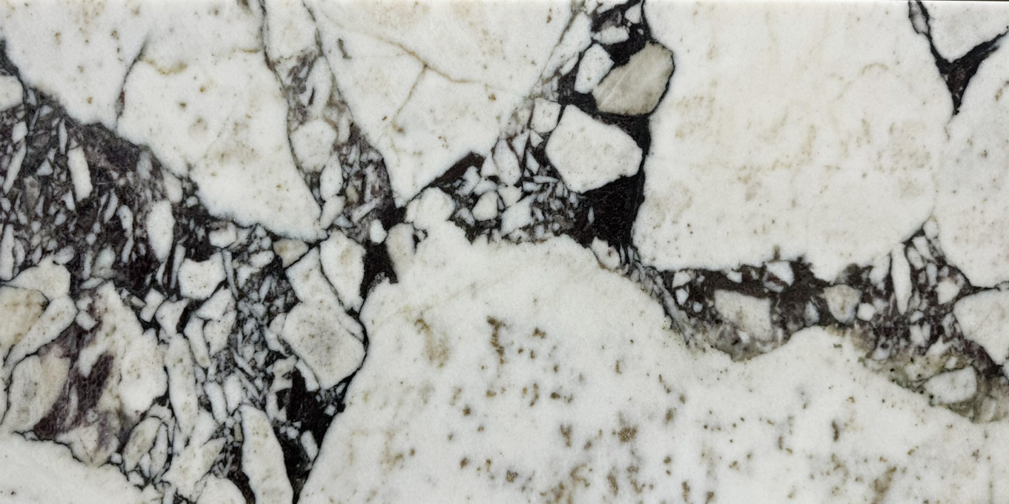 Calacatta Viola Dark | Tez Marble