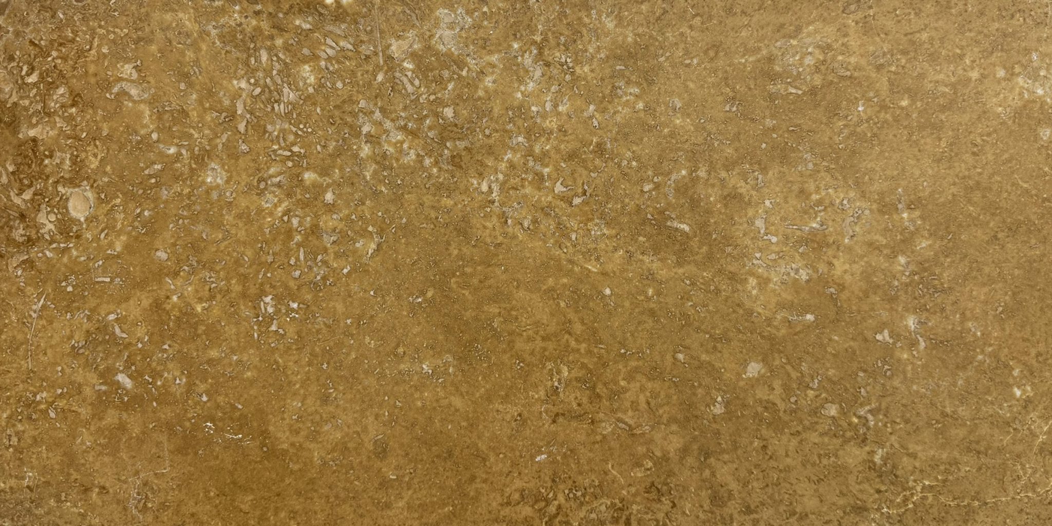 Noce Cross Cut | Tez Marble