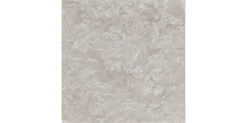 Ocean Reef Shellstone 24x24, Natural Stone Tile | Tez Marble